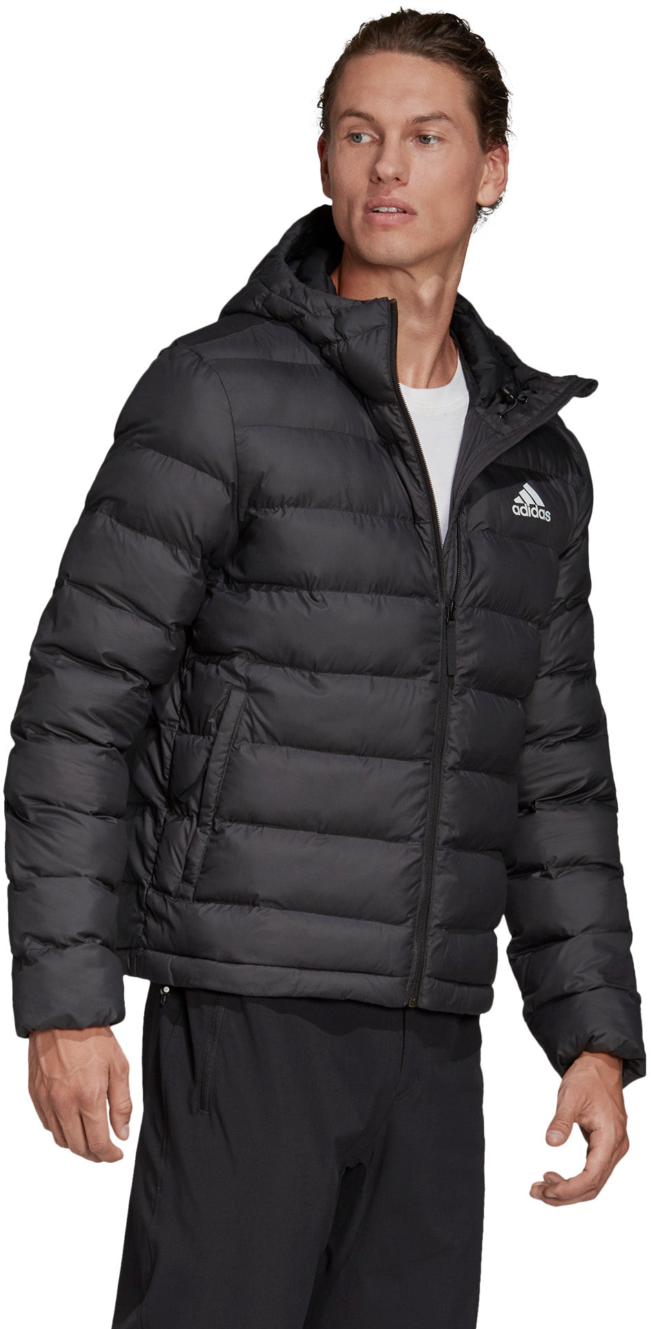 SDP Badge of Sport jakke – INTERSPORT DK